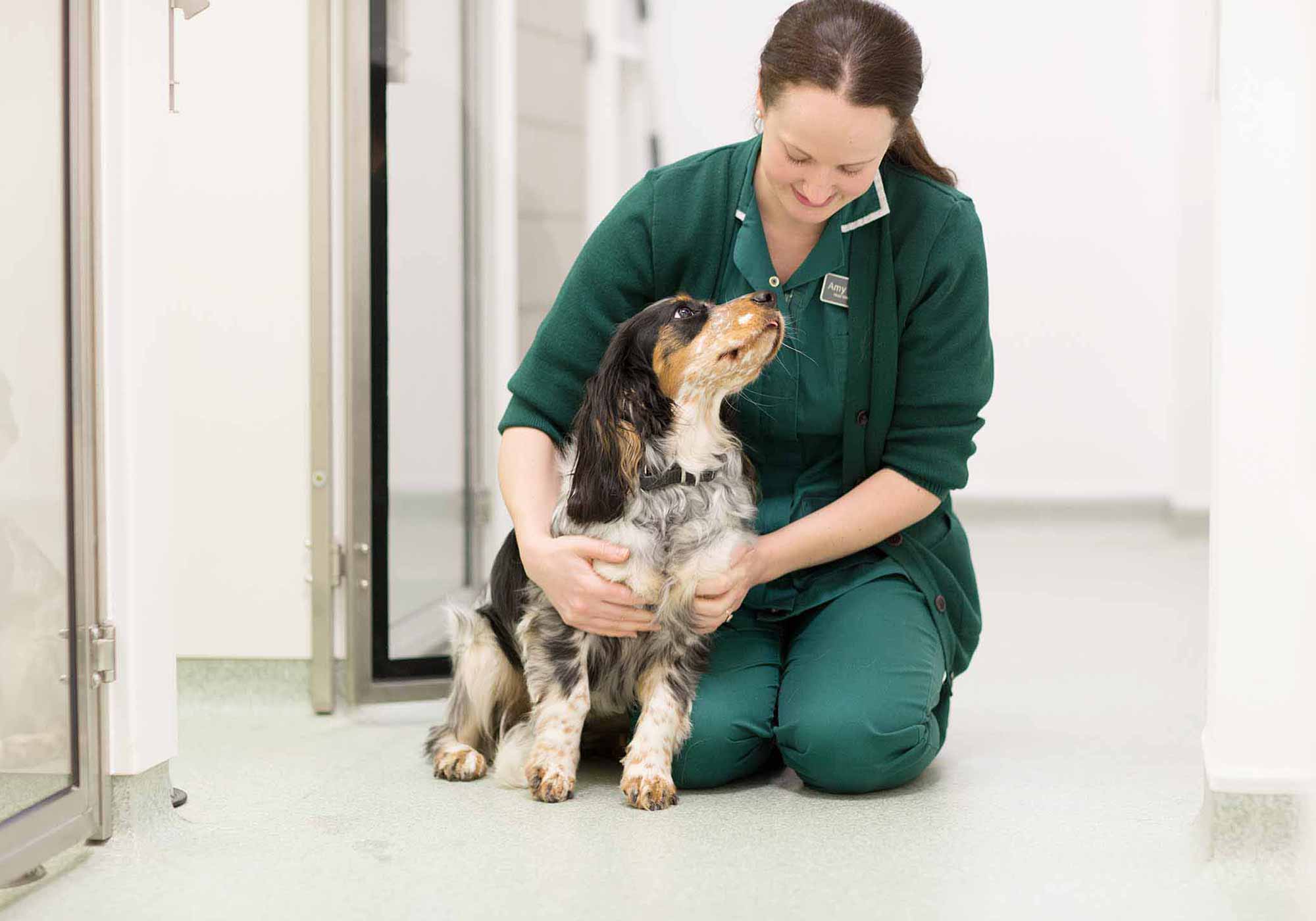 Facilities | Ash Tree Veterinary Centre