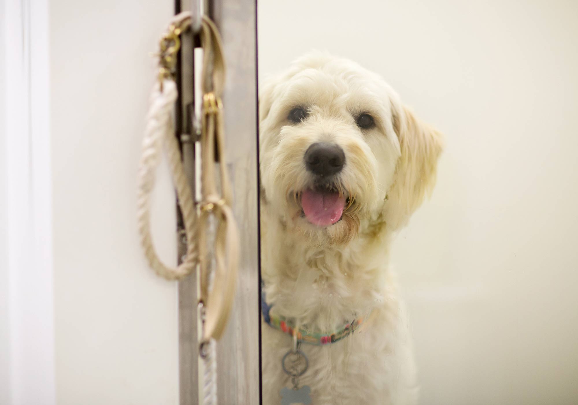 Facilities | Ash Tree Veterinary Centre